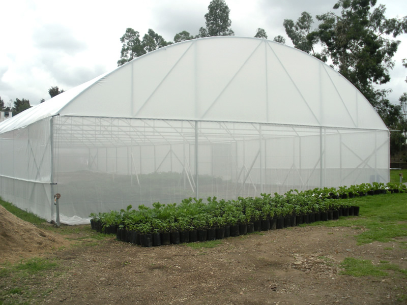 Conferencia “Automatización de invernaderos para cultivos hortícolas”